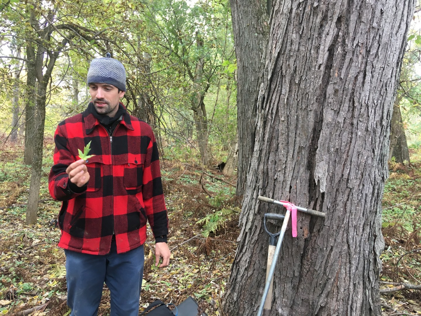 Natural Communities – Vermont Master Naturalist Program