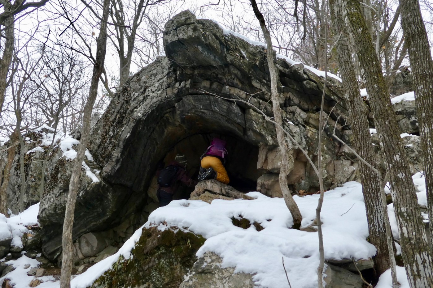 Vermont Master Naturalist Program – Advancing conservation, building ...