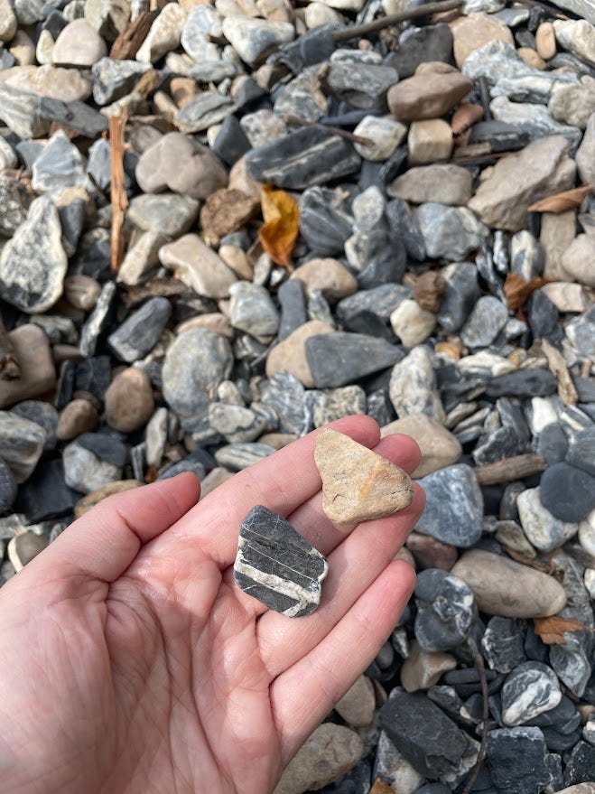 What bedrock can teach us – Vermont Master Naturalist Program