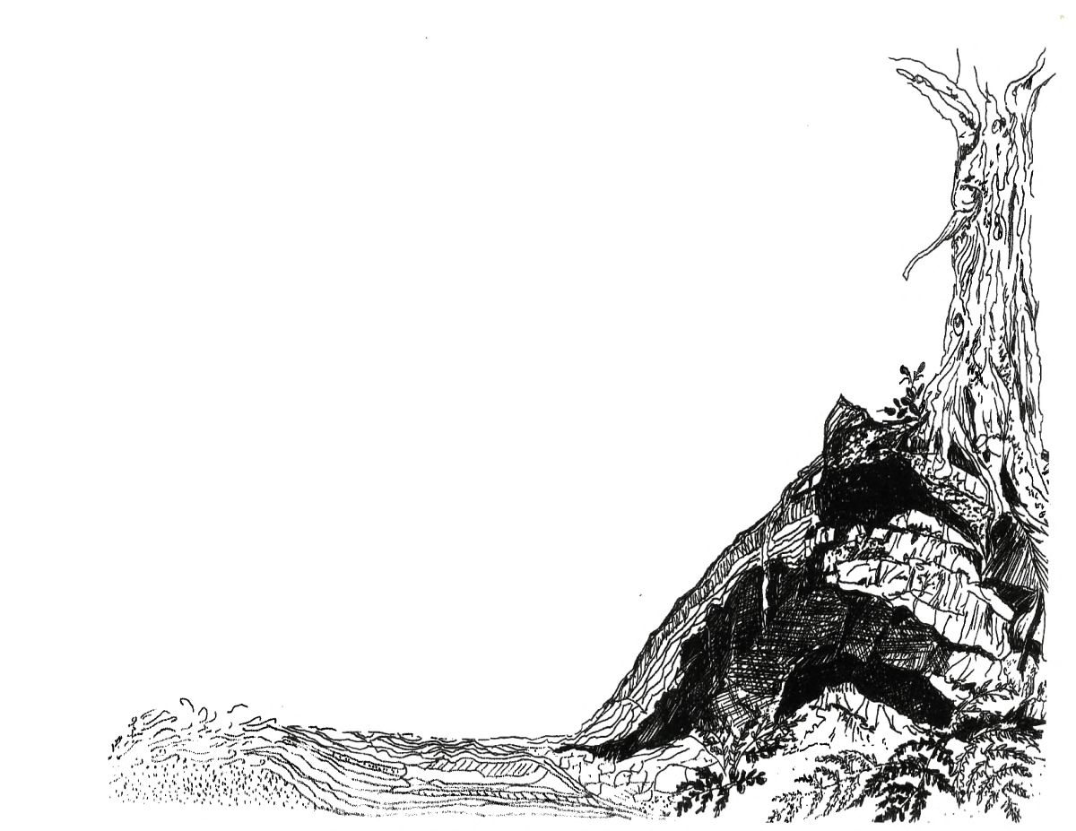 A Question of Scale – Vermont Master Naturalist Program